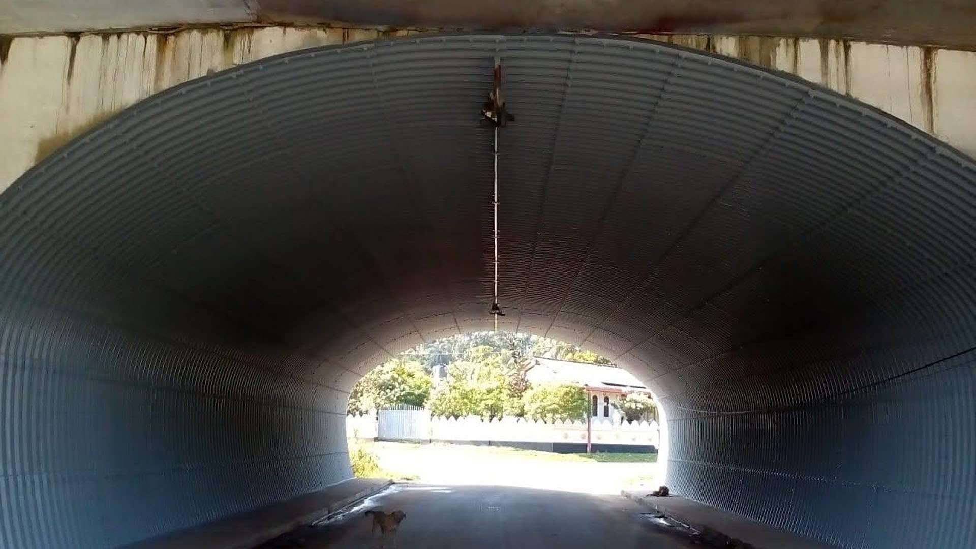 Specialized Engineering - DGES