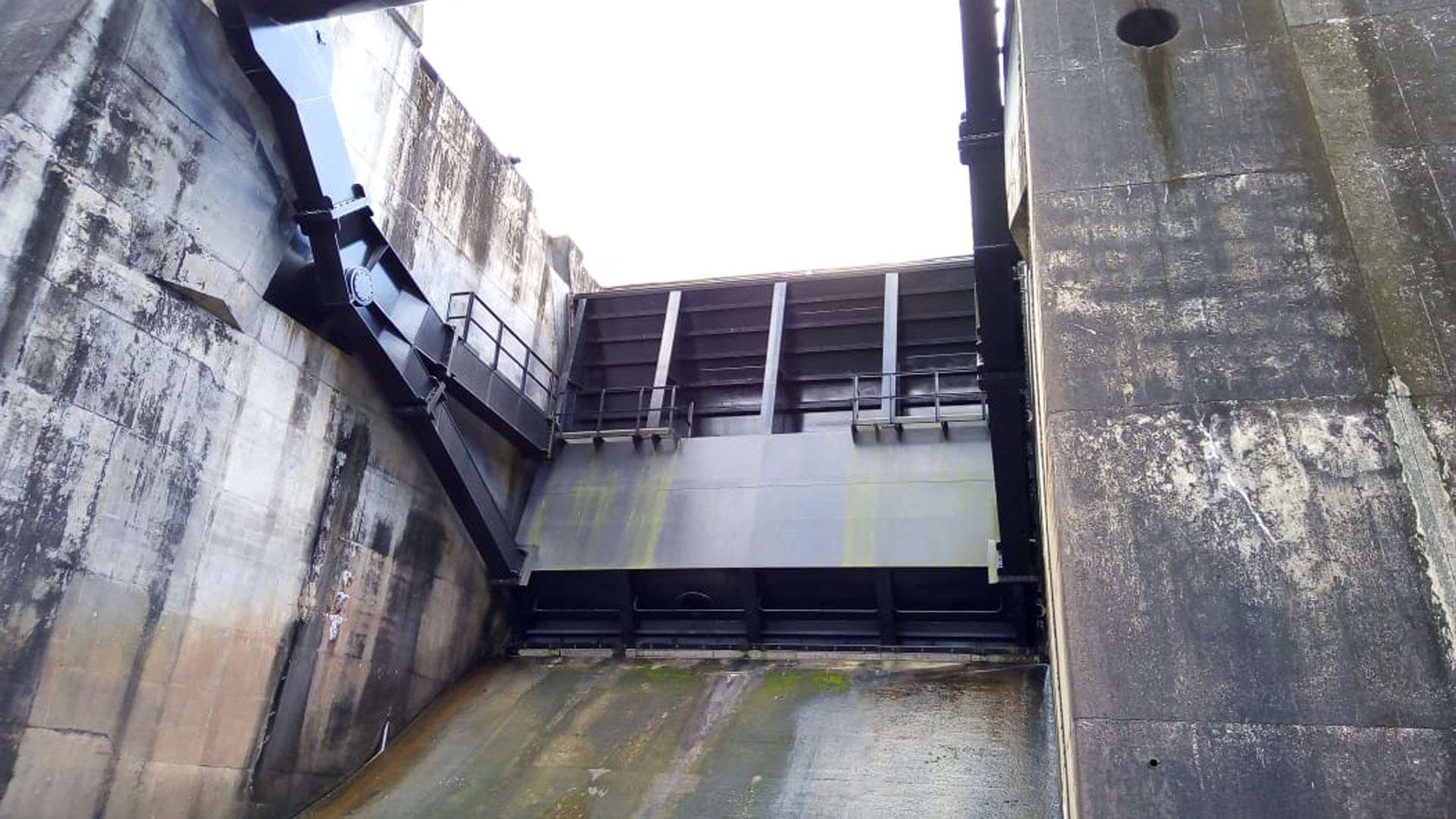 Specialized Engineering – ongoing - DGES